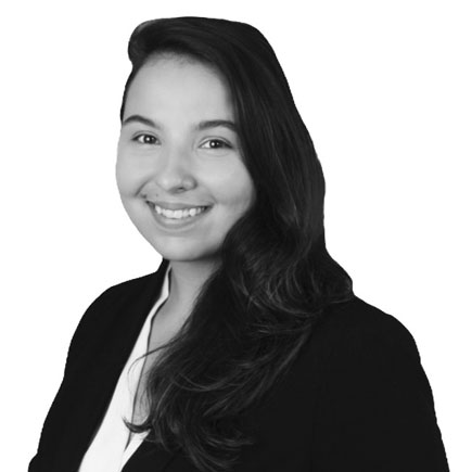 Canadian Immigration Lawyers and Immigration Consultants